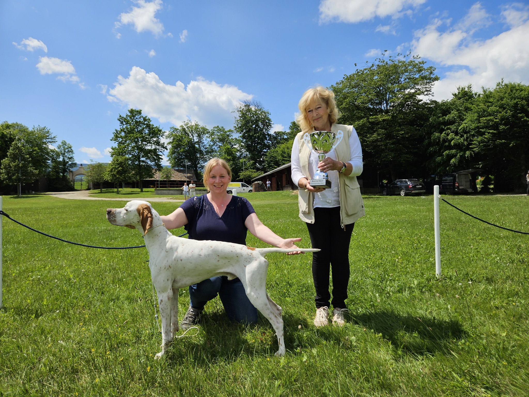 World´s End English Pointers - Robin